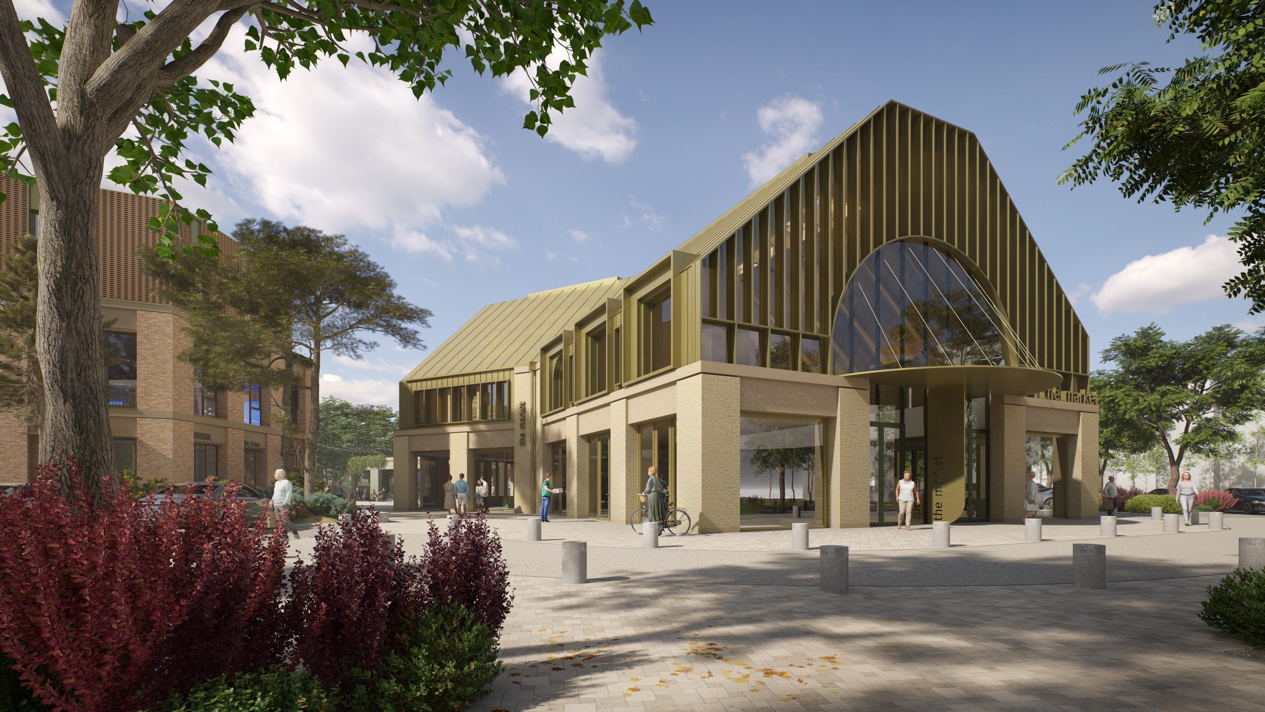 AMBER FOREST AGORA - Amber Forest