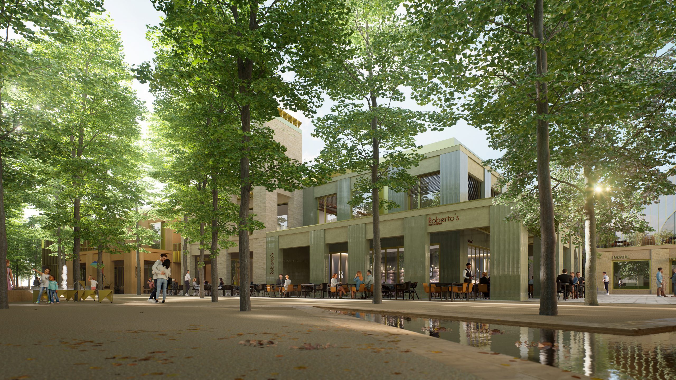 AMBER FOREST AGORA - Amber Forest