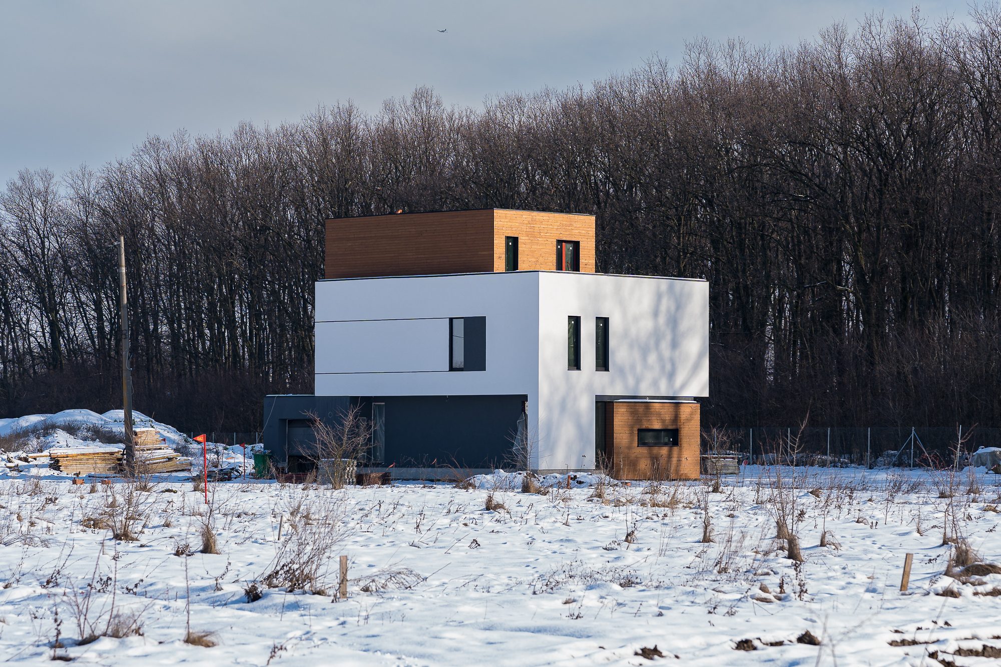 Amber Forest Project Status - Februarie 2023 - Amber Forest