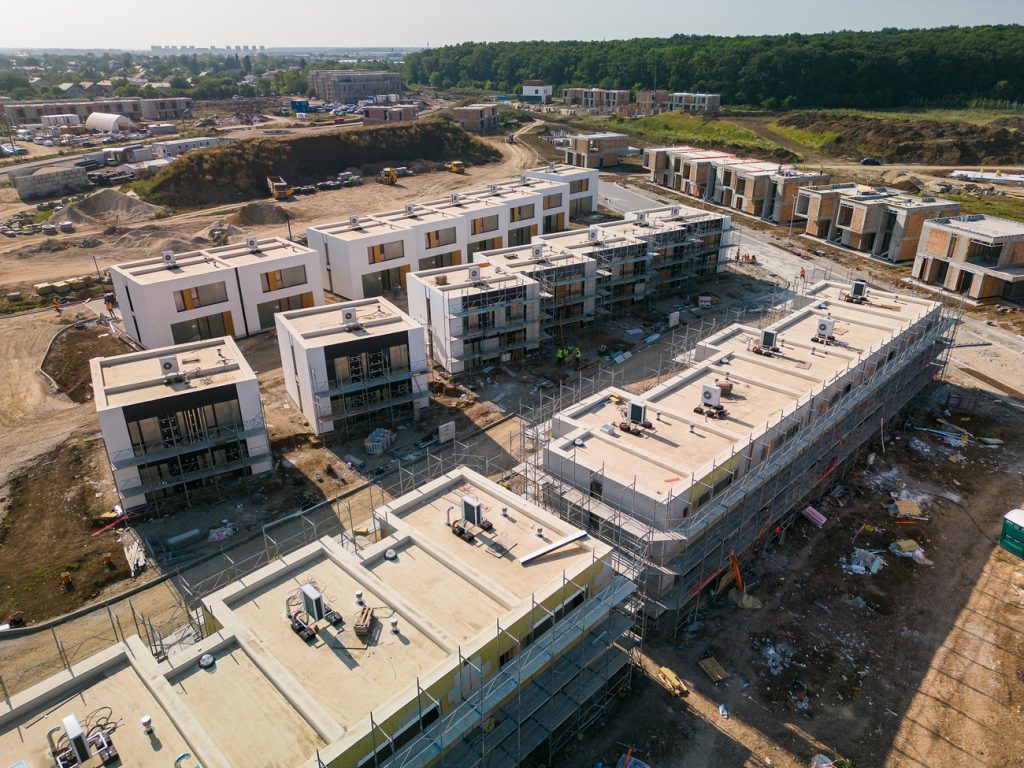 Amber Forest Project Status - Iunie 2023 - Amber Forest